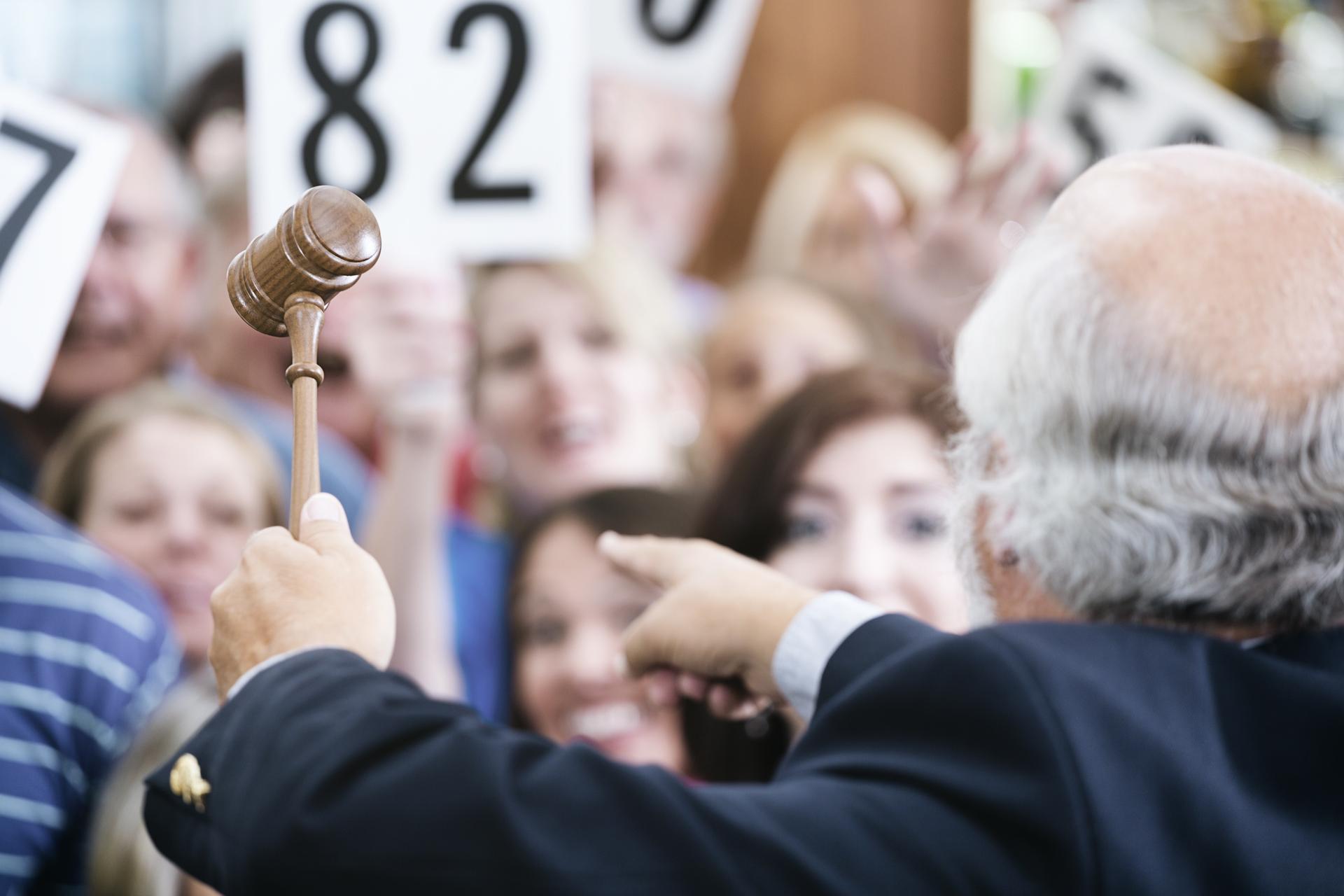 Should you hire a professional bidder for an auction?